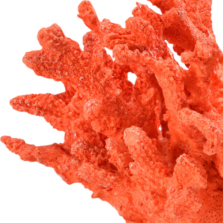 Red Coral