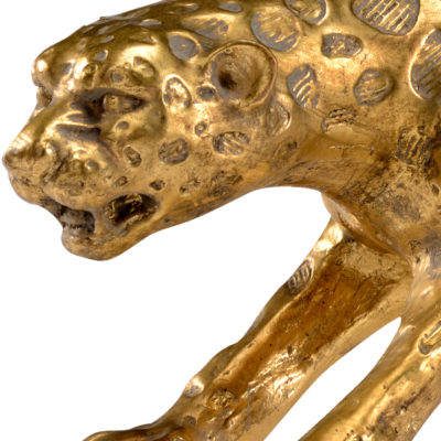 Gold Leopard
