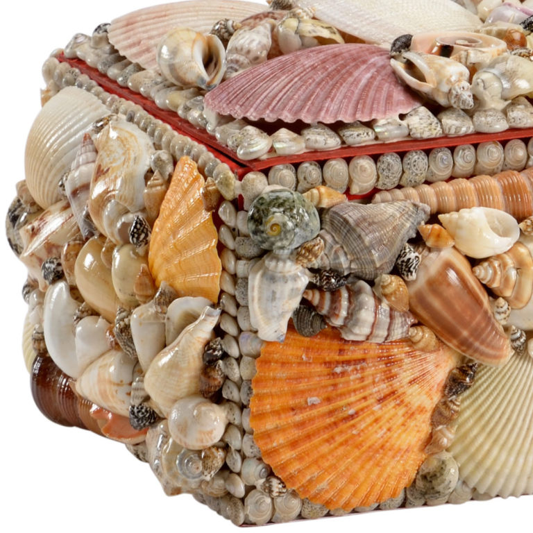 Shell Box